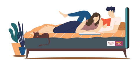 Best Mattress, Cushions and Pillows to Buy Online | Nestin Store