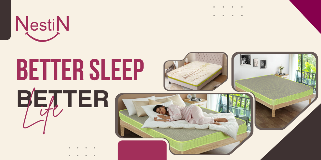 Better Sleep, Better Life: Sleep Science Explained - Nestin Store